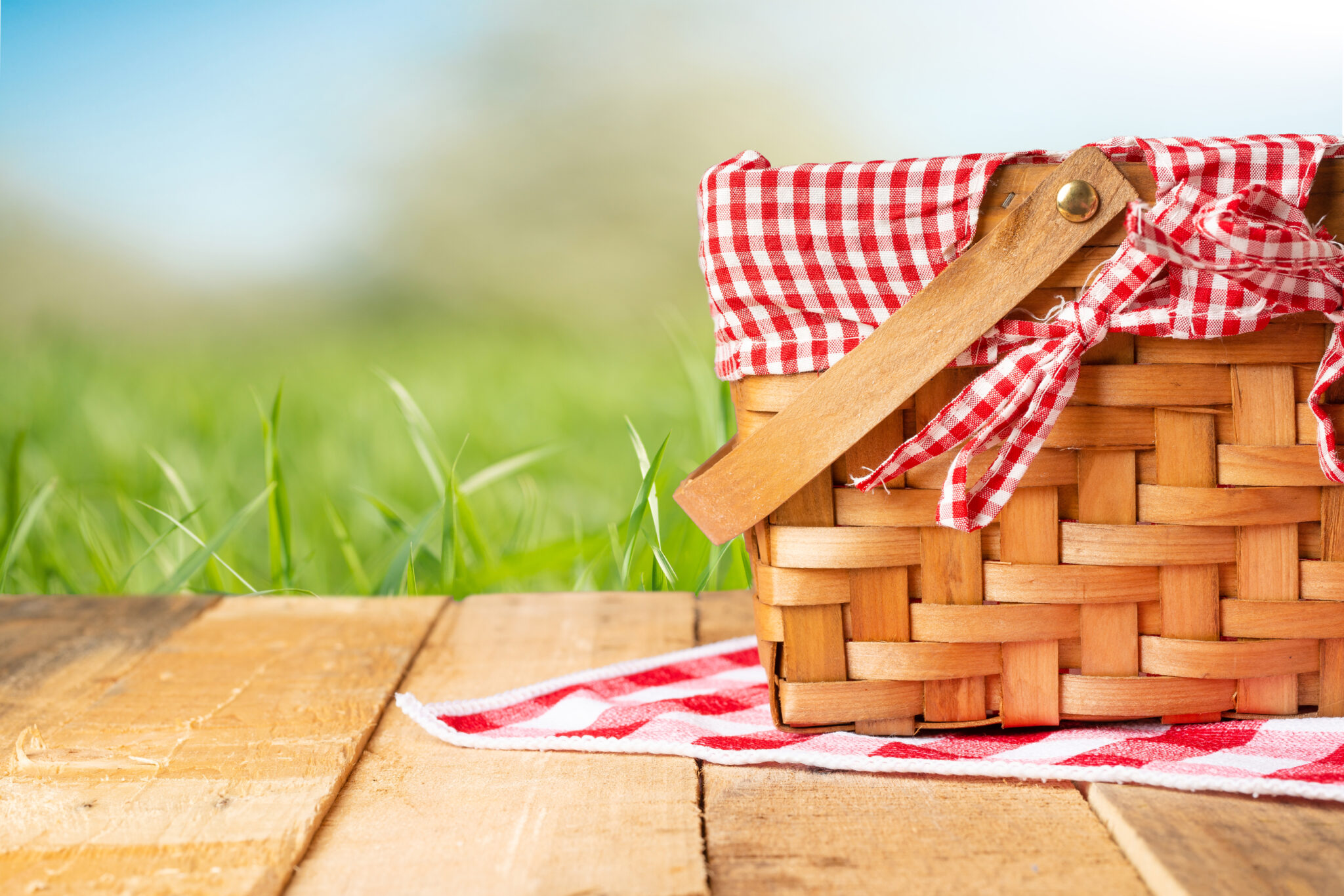 The Picnic on the Green/Open House/Resource Fair - Turning Point ...